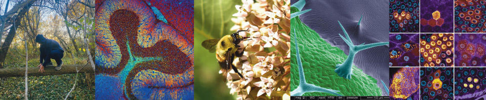 Office of Student Research | Illinois State